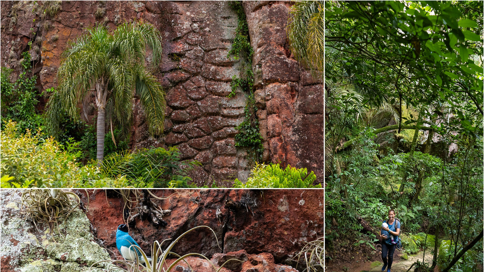 4-Xtremes – Offroad-avonturen in Brazilië